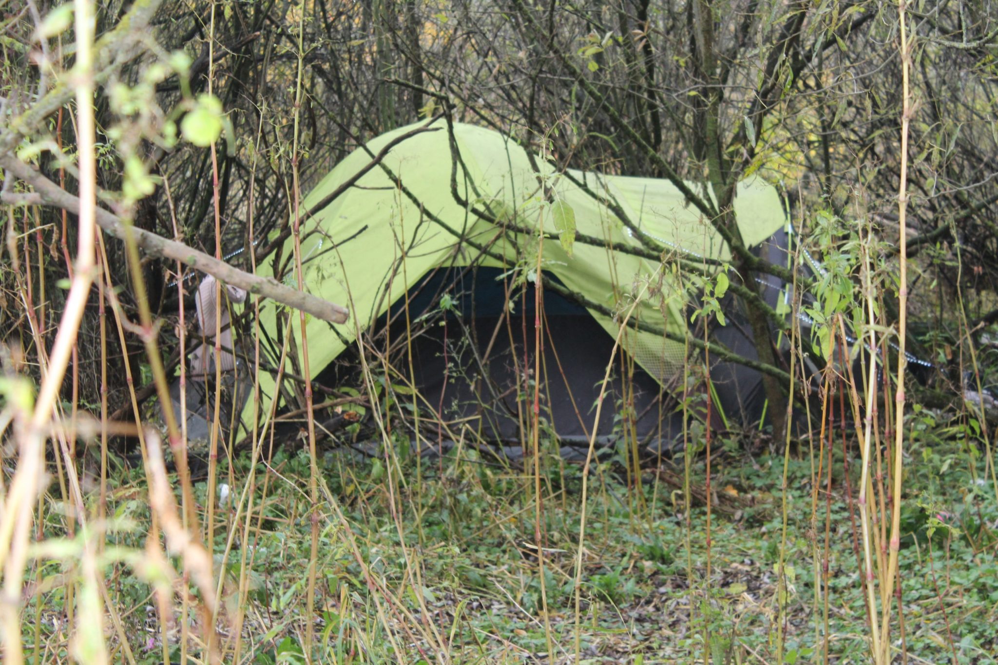 The homeless experience in North Perth, Part 2: Access to health supports