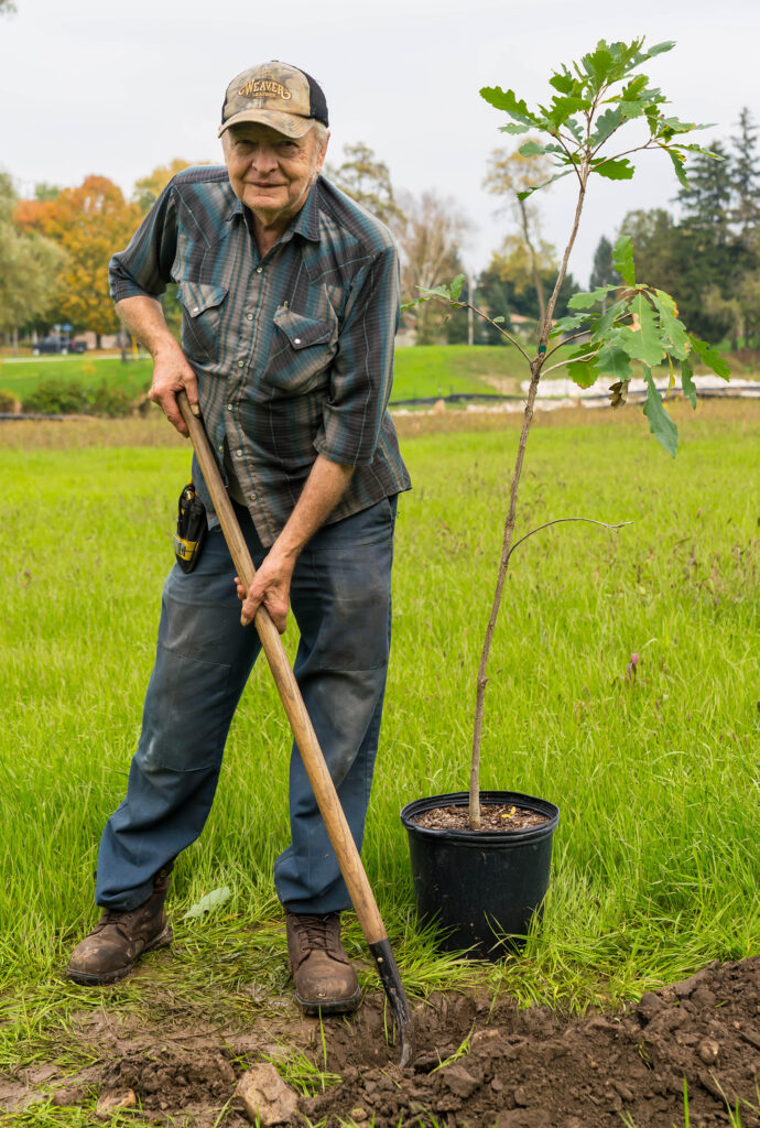 Maitland Conservation plants trees in Gorrie