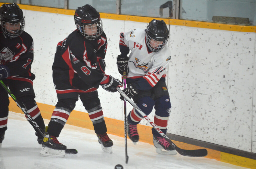 Central Perth U11 LL hosts Goderich