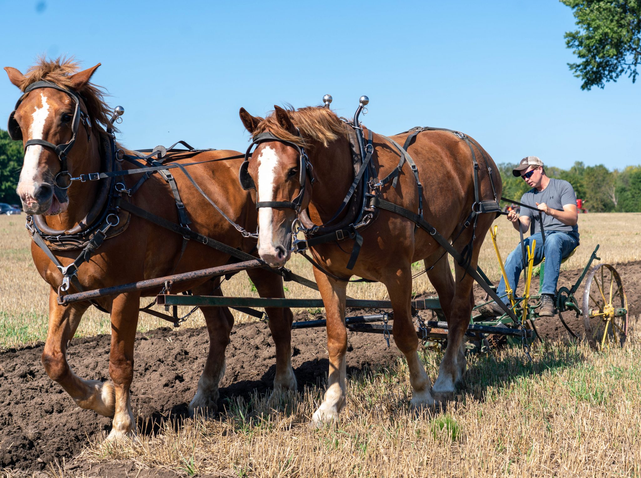 2022 Perth County Plowing Match in photos