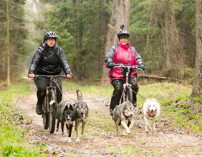 Brant Tract goes to the dogs, April 22