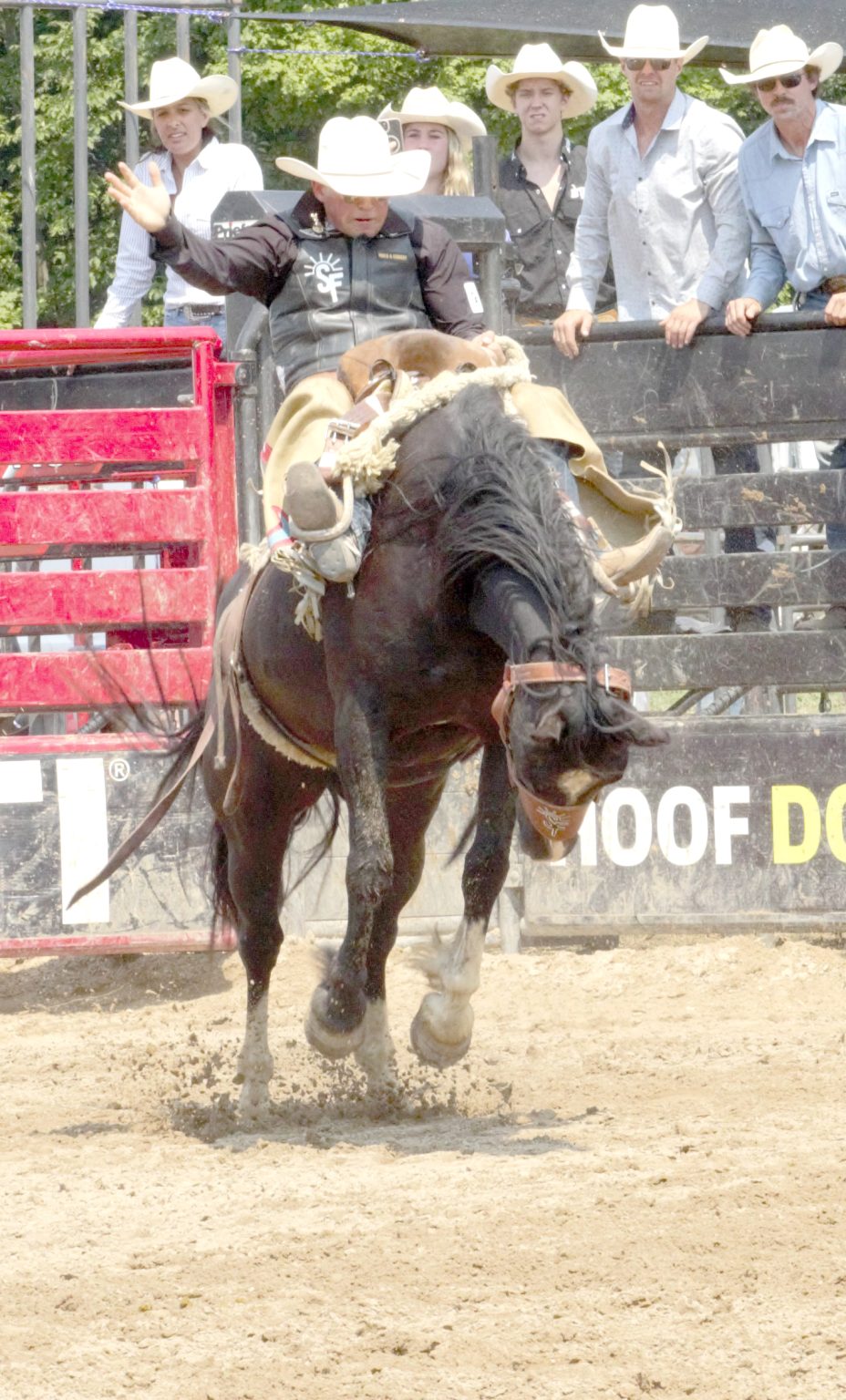 Holmdale Farm Rodeo returns next year
