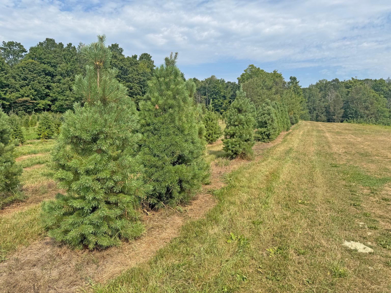 Perth County takes first look at 2026 stewardship program, Ehgoetz ...